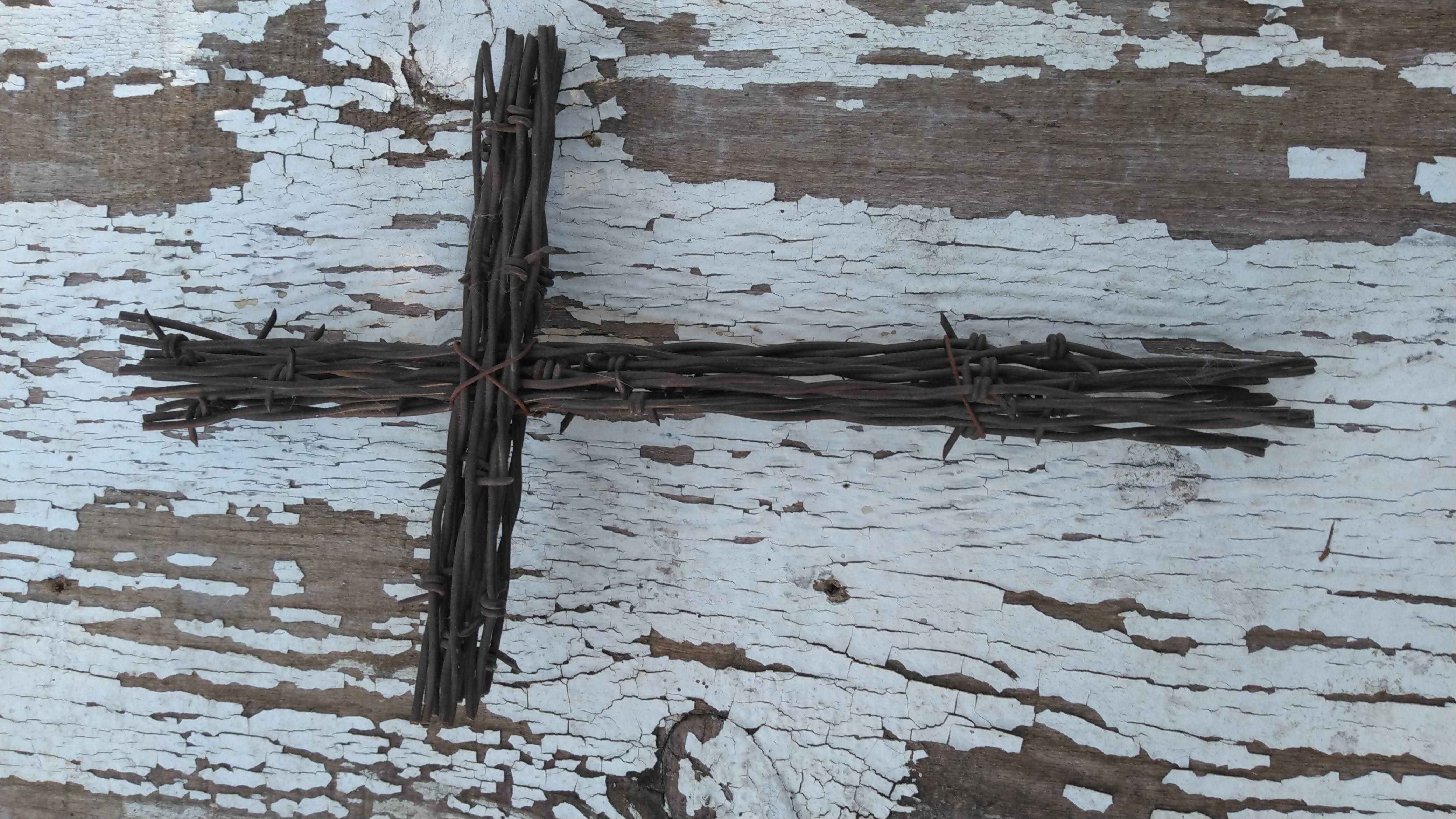 AABP Amstutz Auction