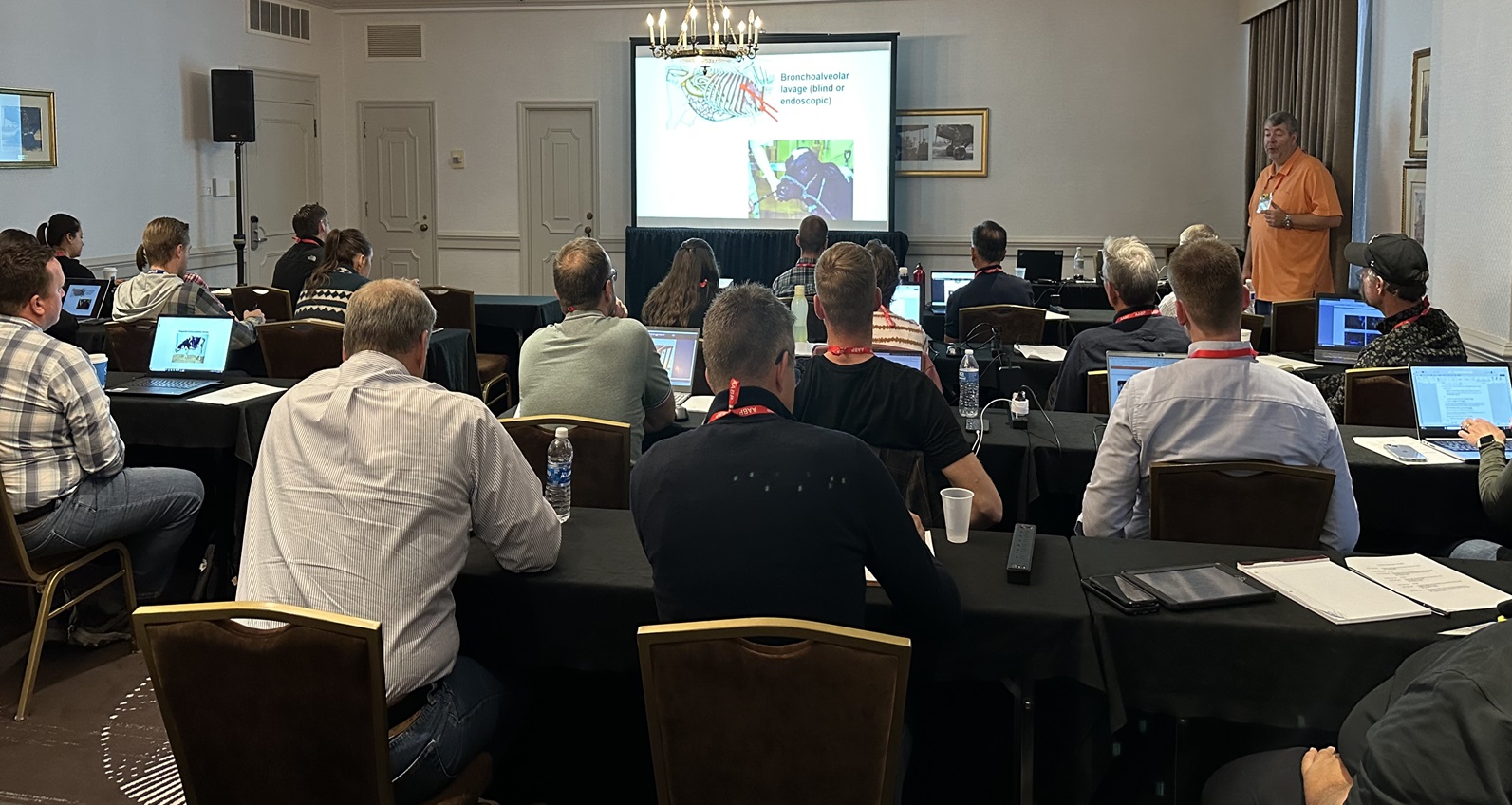 American Association of Bovine Practitioners